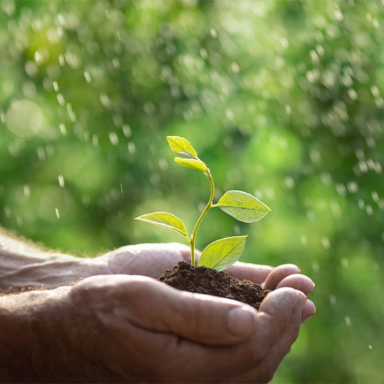 Cribwise Tool Management System For Your Tooling Inventory